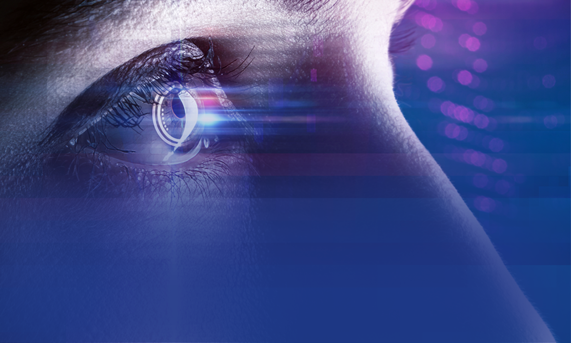 Our company project - SENEF